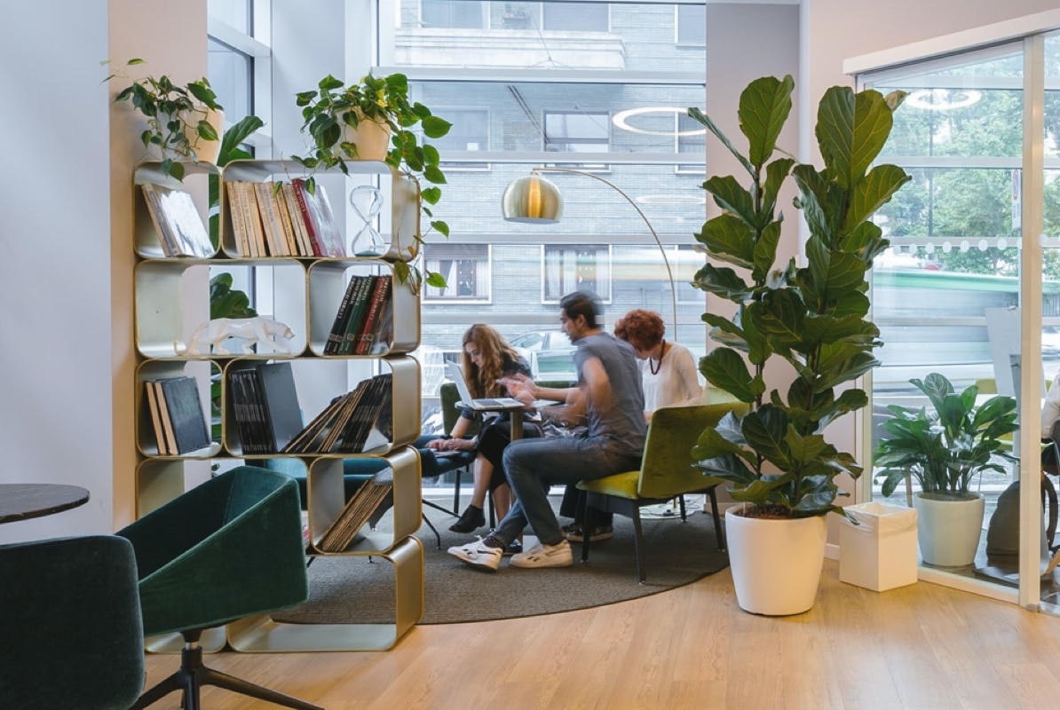 Join us - William Reed