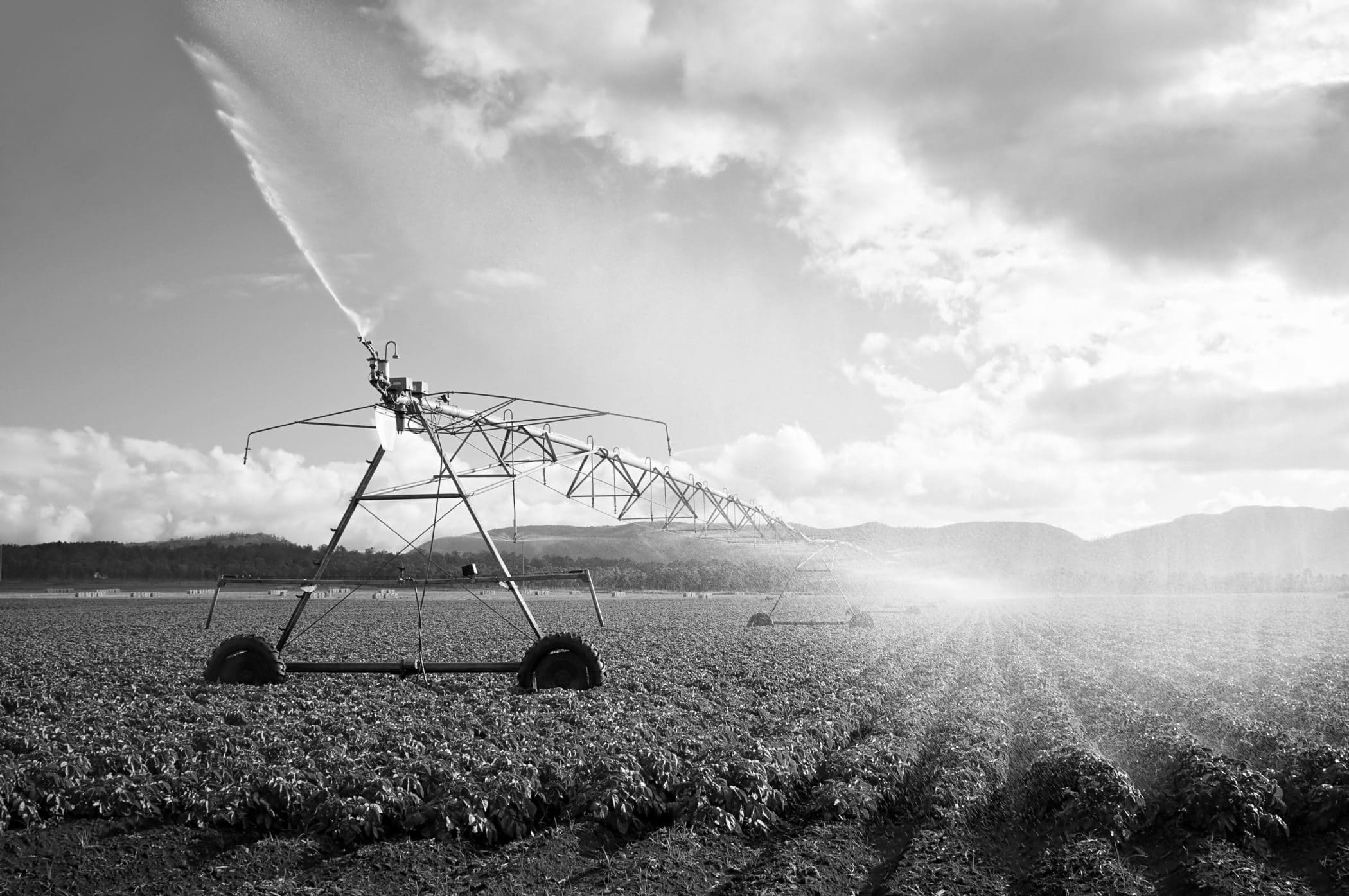 William Reed and Rethink Events - William Reed